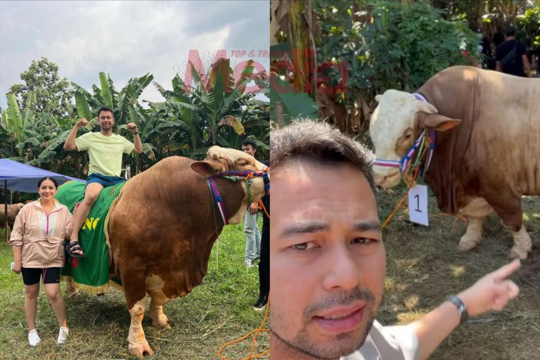Raffi Ahmad Buat Korban 20 Ekor Lembu, Ada Yang Cecah Berat 1,300kg!